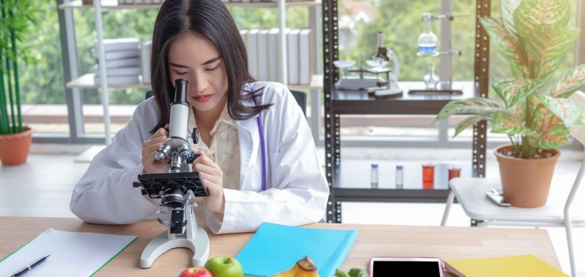 Quel microscope choisir ? Comparatif, Avis et Conseils d’achat ...