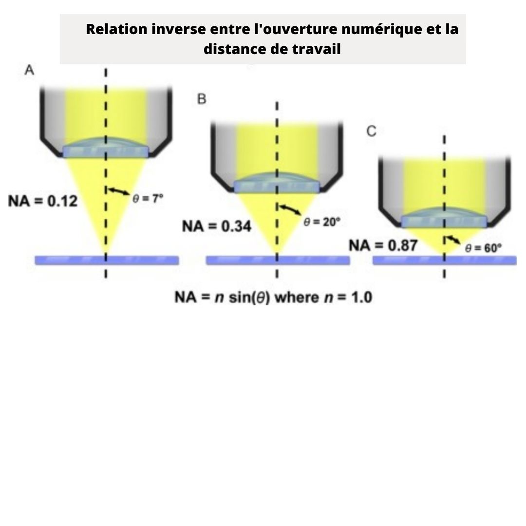 Objectif de microscope - Meilleurs Microscopes