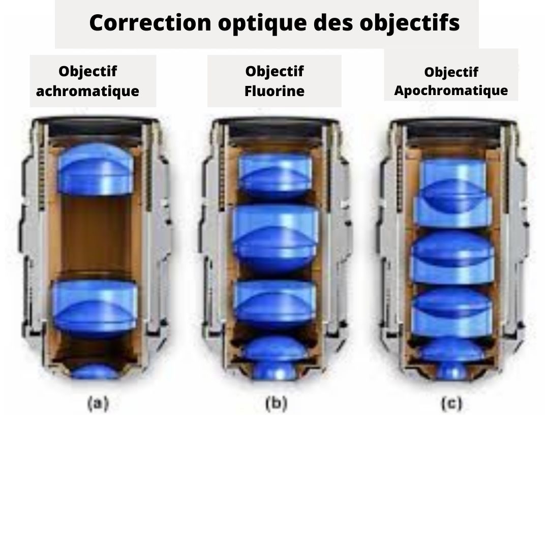 Objectif de microscope - Meilleurs Microscopes