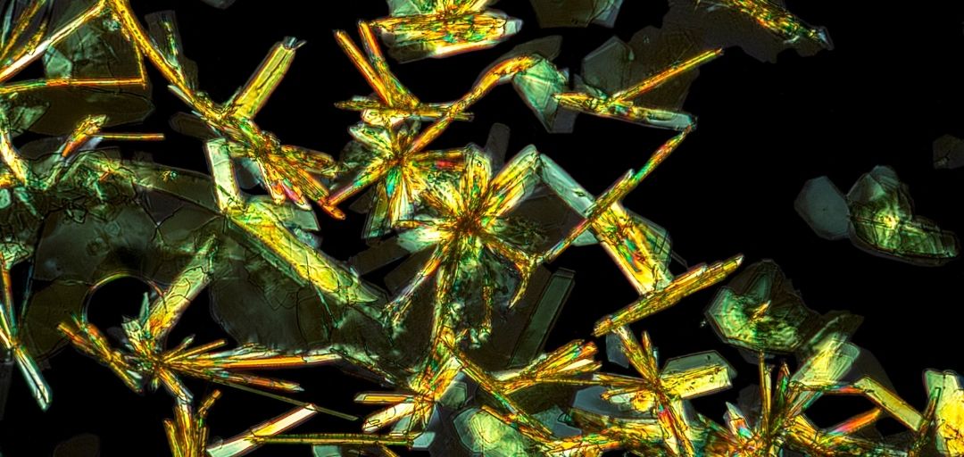 Microscope Polarisant : avis et fonctionnement