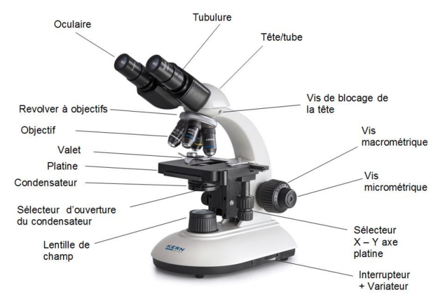 Microscope Photonique - Avis et Comparatif pour 2024