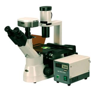 Microscope Inversé : Comparatif 2024 et nos avis