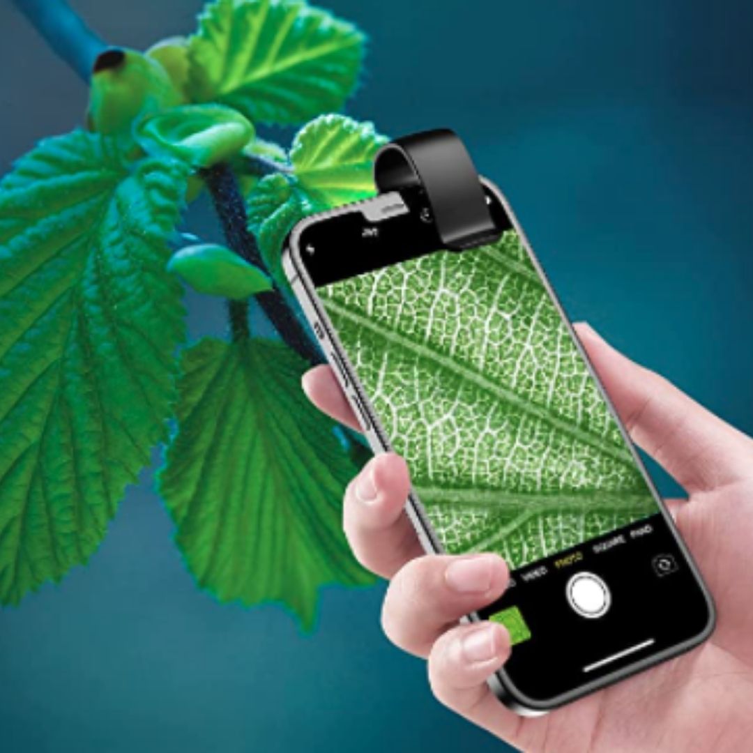 Microscope pour Smartphone : Avis et comparatif 2024