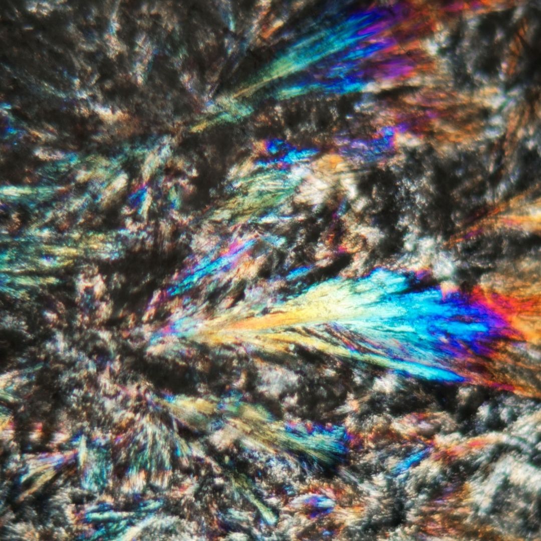 Microscope Polarisant : avis et fonctionnement