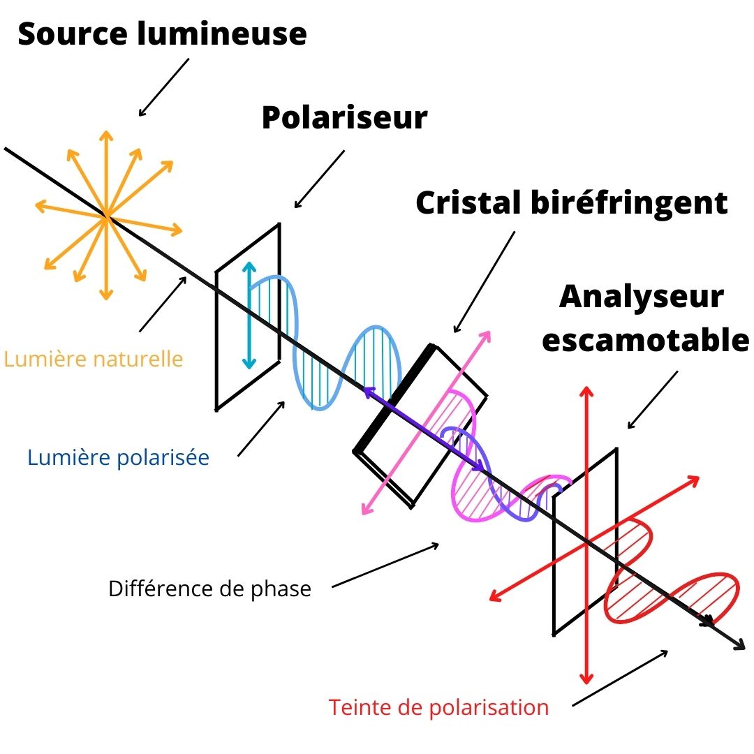 Microscope Polarisant : avis et fonctionnement