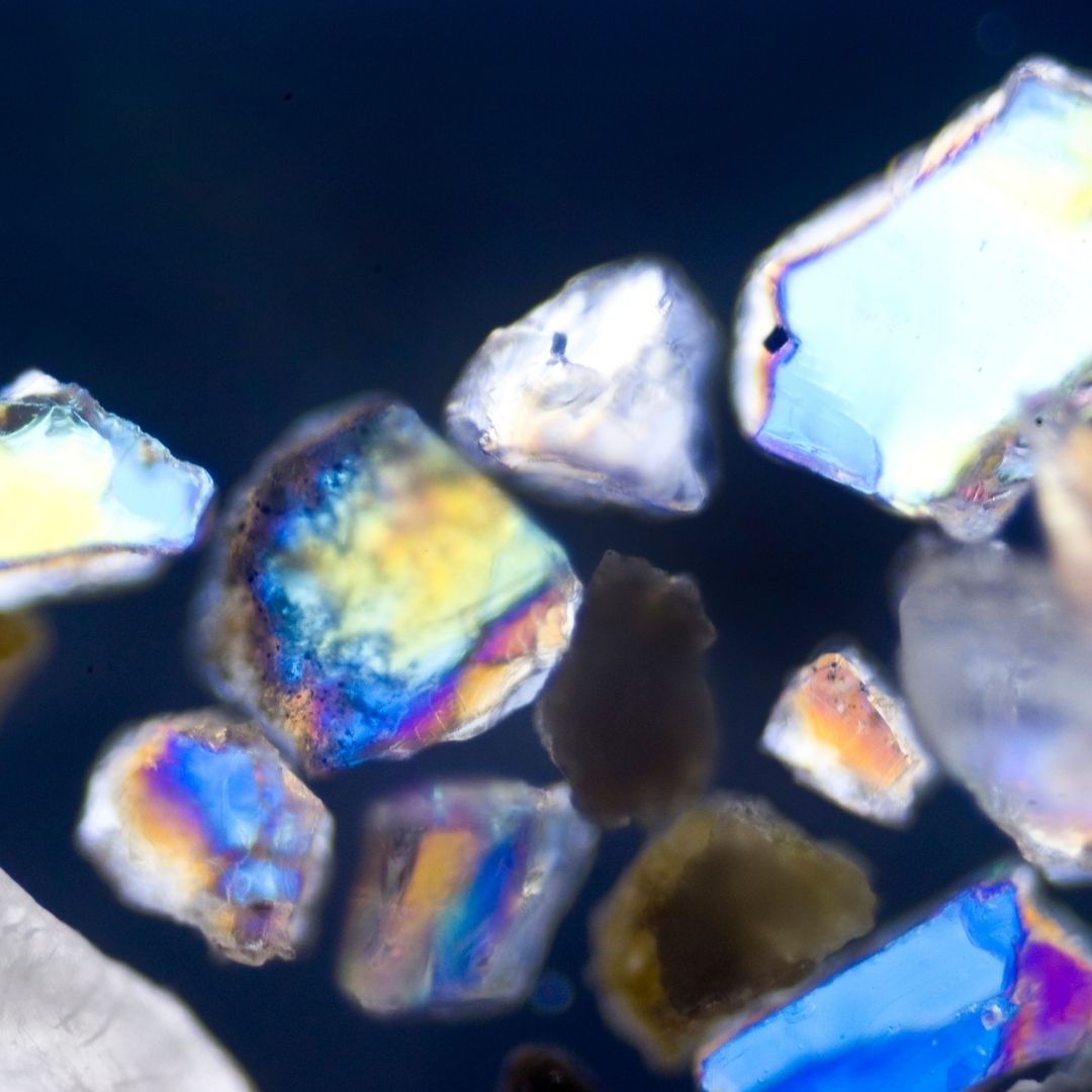 Sable au microscope - Meilleurs Microscopes