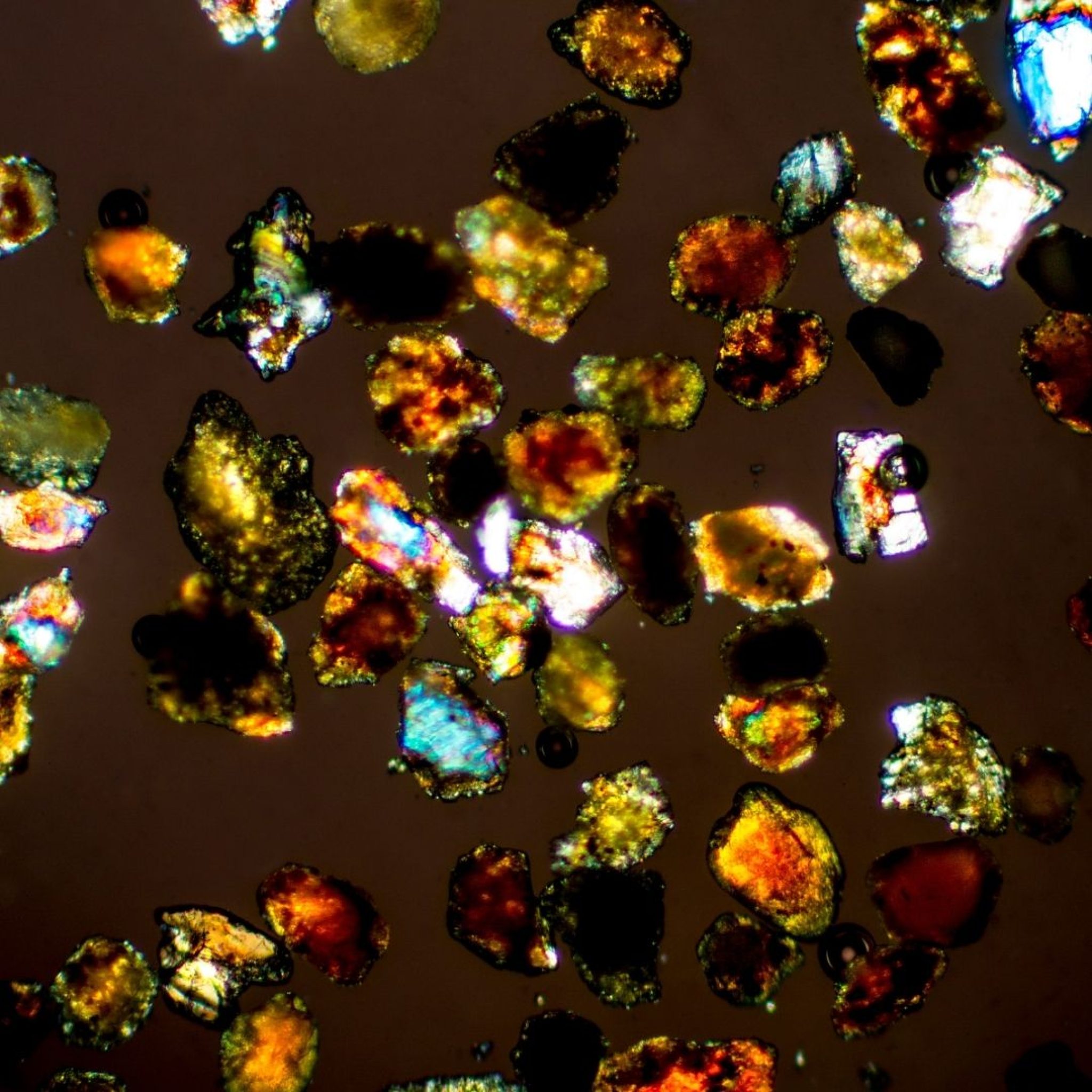 Sable au microscope - Meilleurs Microscopes