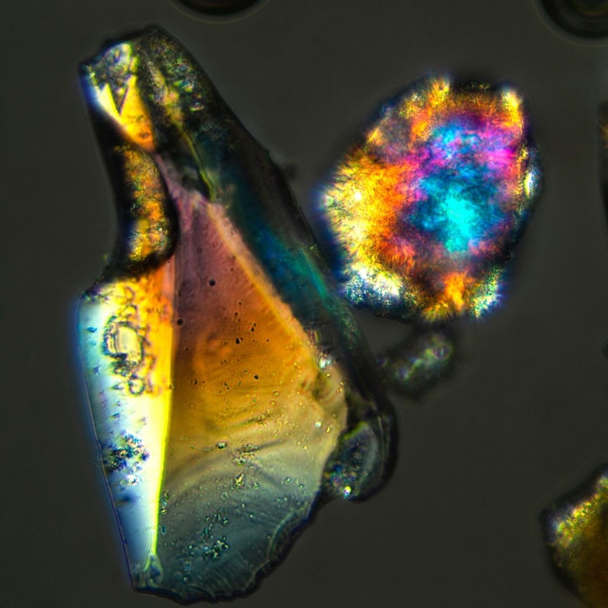 Sable au microscope - Meilleurs Microscopes