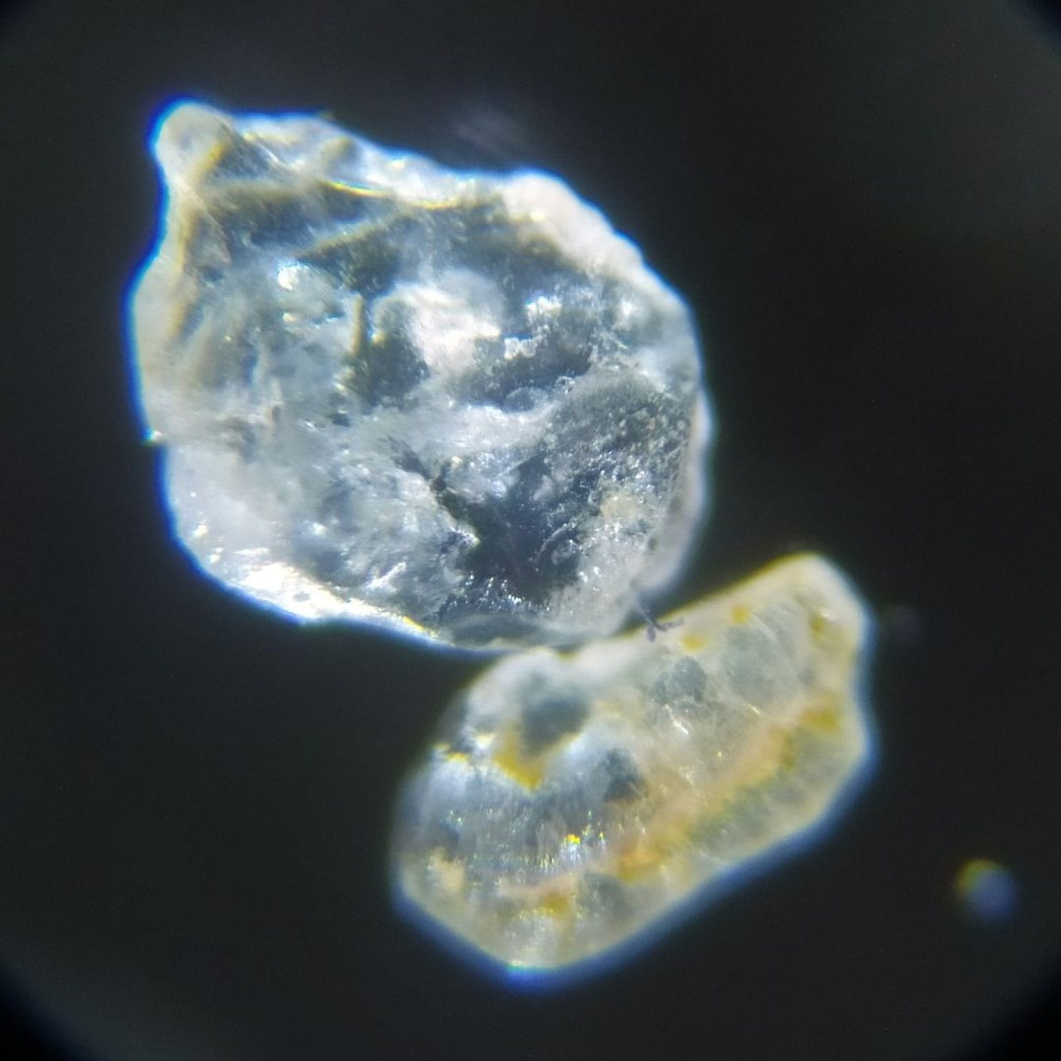 Sable au microscope - Meilleurs Microscopes