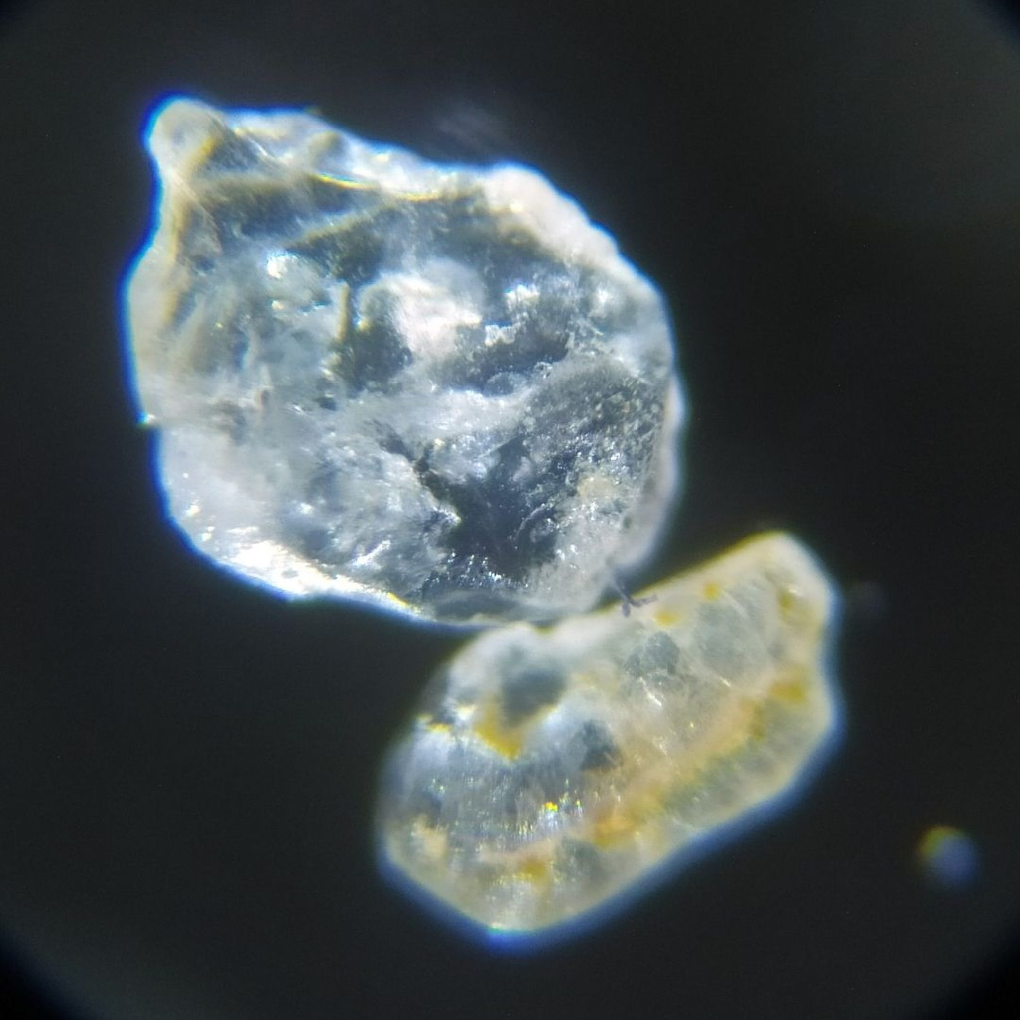 Sable au microscope - Meilleurs Microscopes