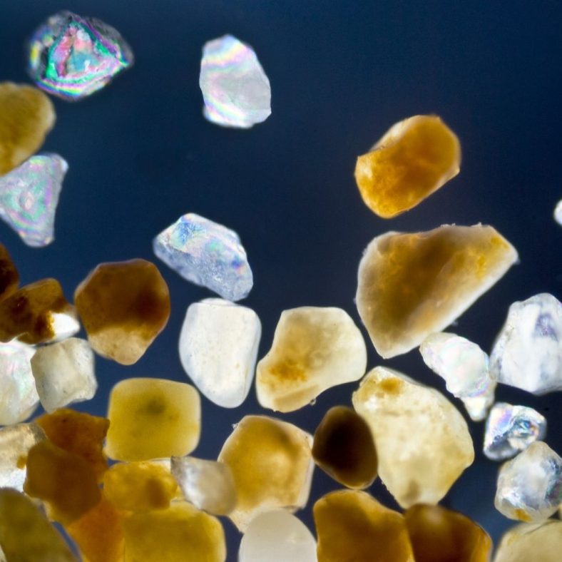 Sable au microscope - Meilleurs Microscopes