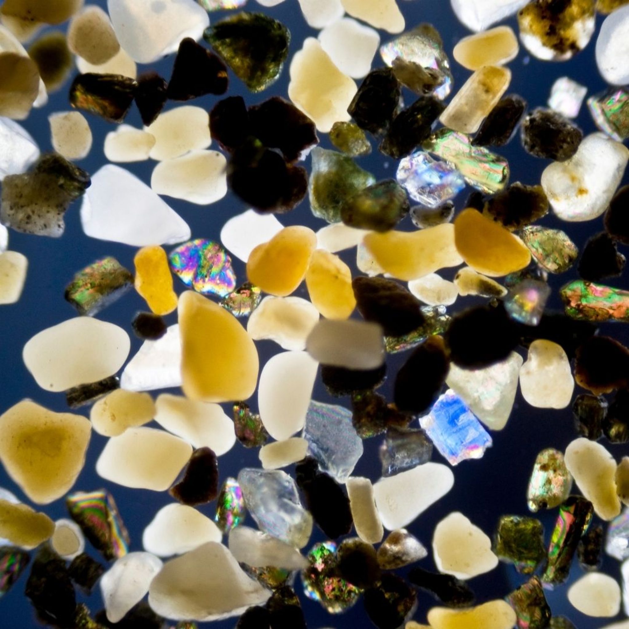 Sable au microscope - Meilleurs Microscopes