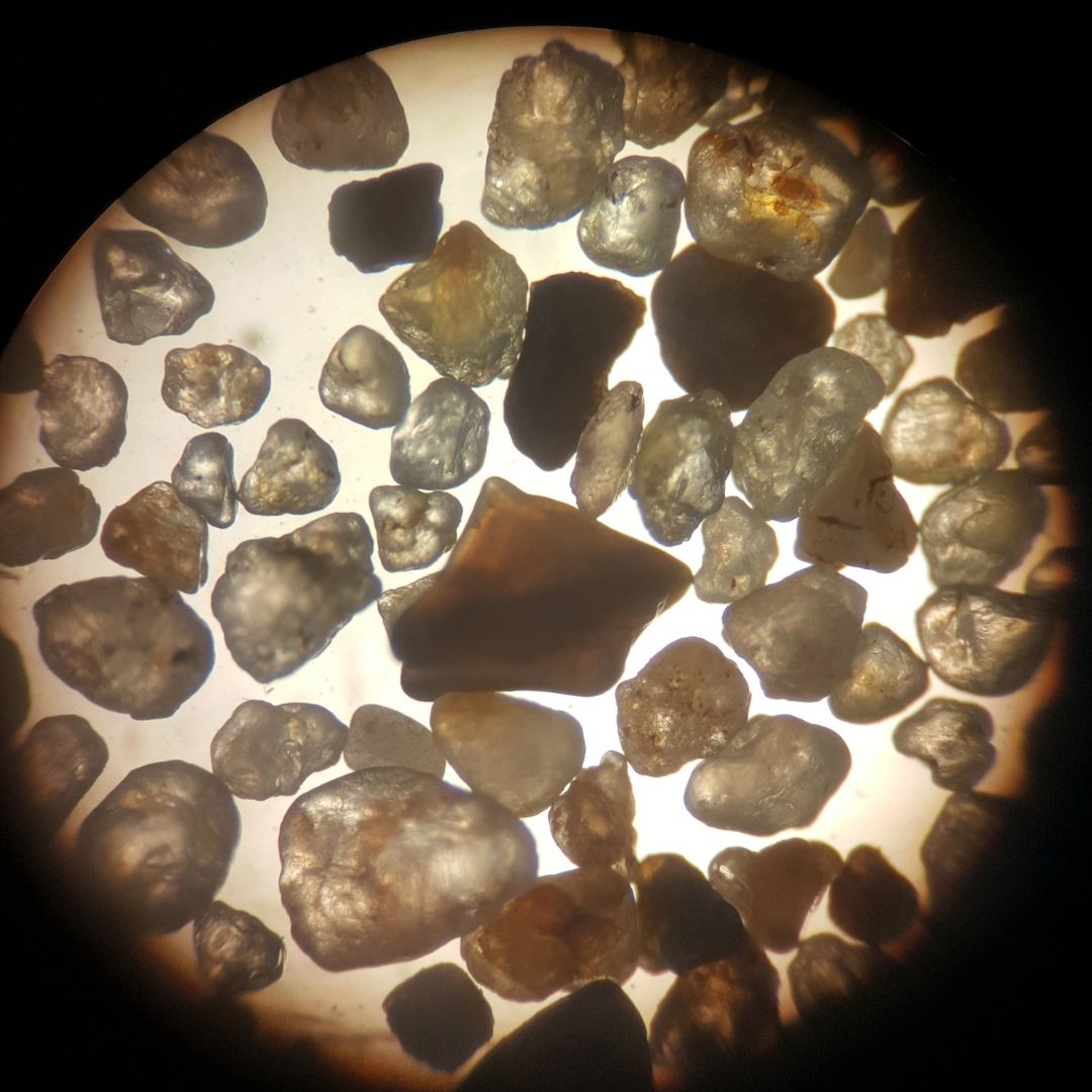 Sable au microscope - Meilleurs Microscopes