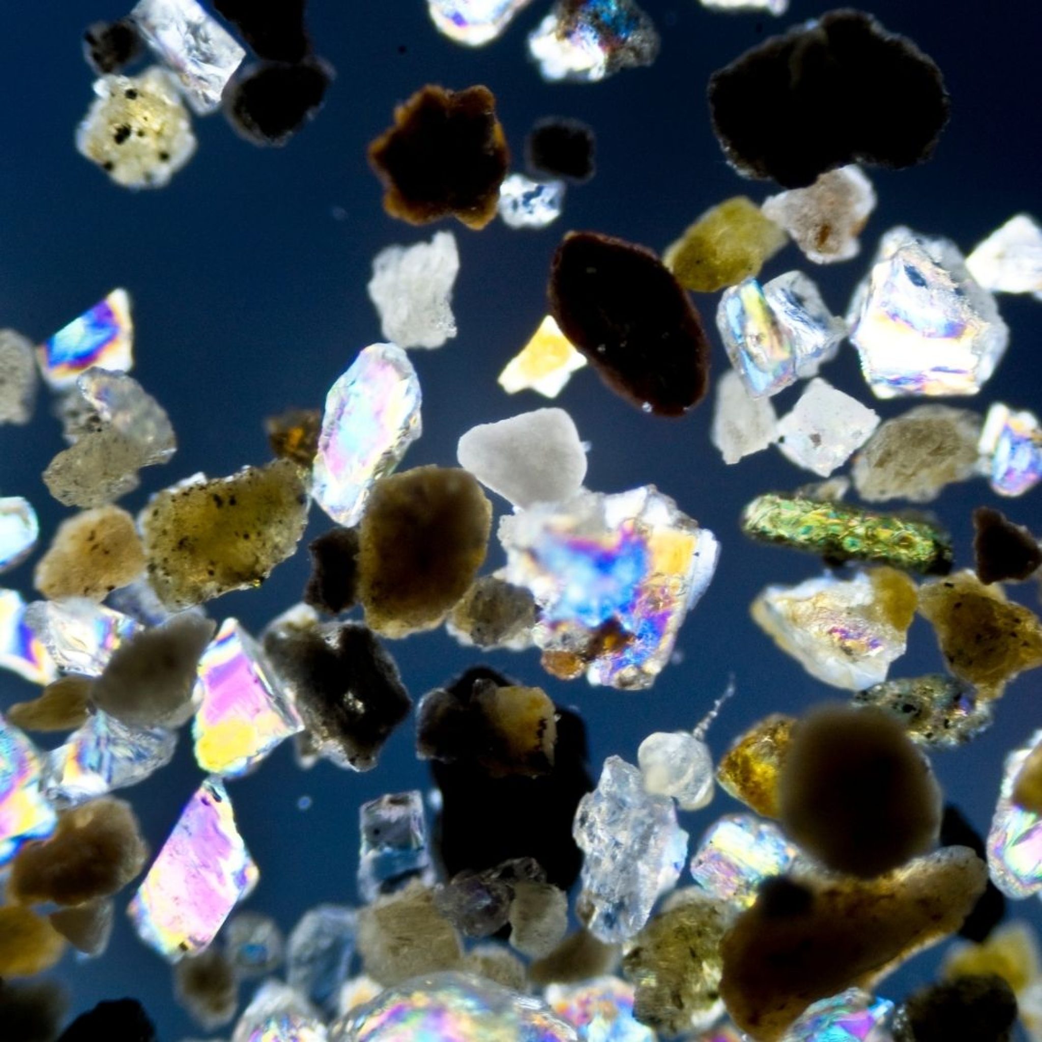 Sable au microscope - Meilleurs Microscopes