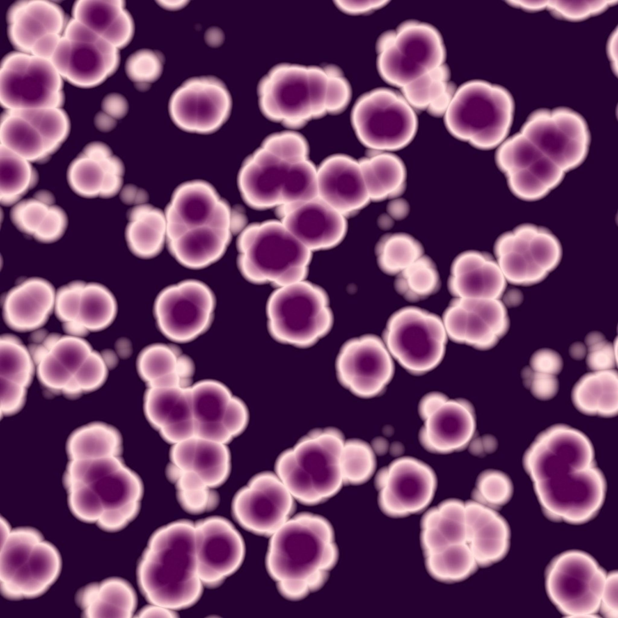 Comment observer une goutte de sang au microscope ? - Meilleurs Microscopes