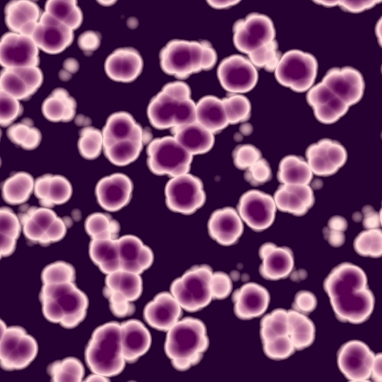 Comment observer une goutte de sang au microscope ? - Meilleurs Microscopes