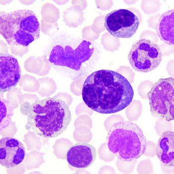 Comment observer une goutte de sang au microscope ? - Meilleurs Microscopes