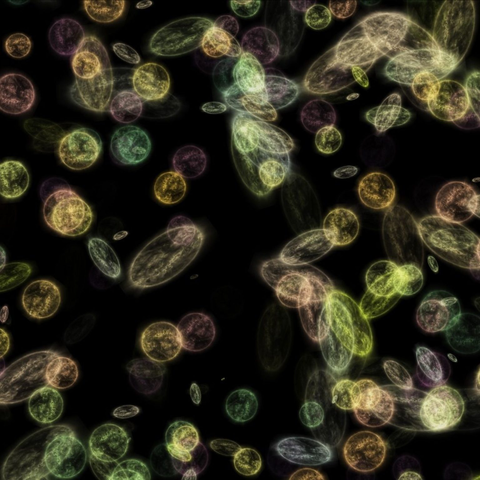 Quel microscope pour observer des bactéries