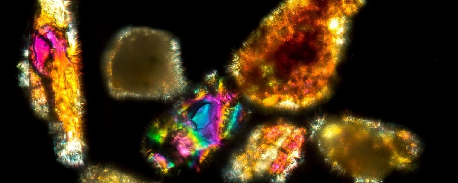 Microscope Polarisant : avis et fonctionnement