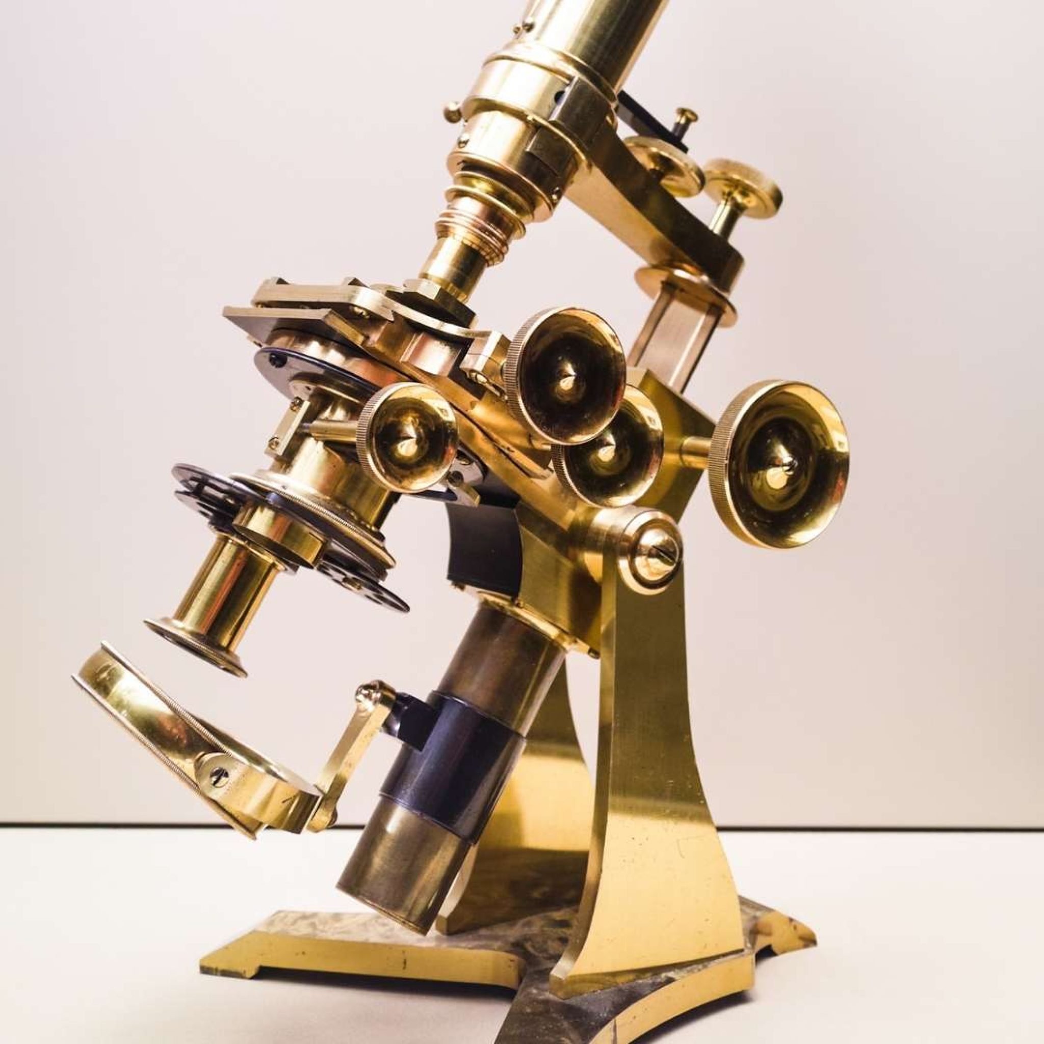 Histoire du microscope - Meilleurs Microscopes