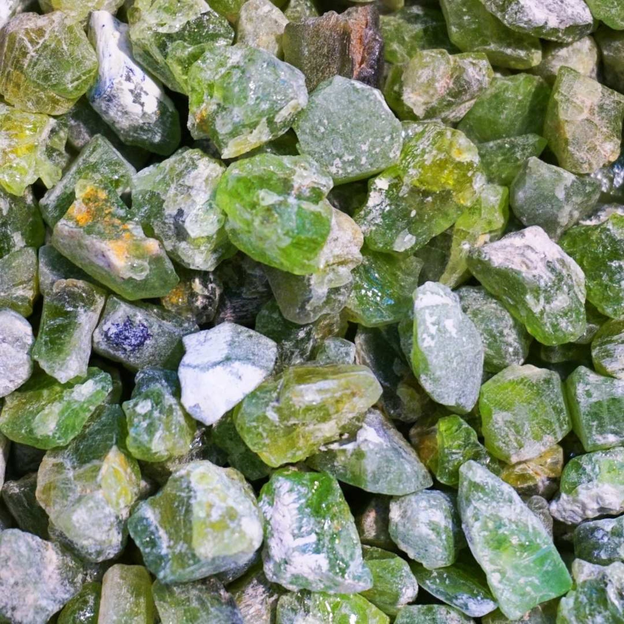 Sable au microscope - Meilleurs Microscopes