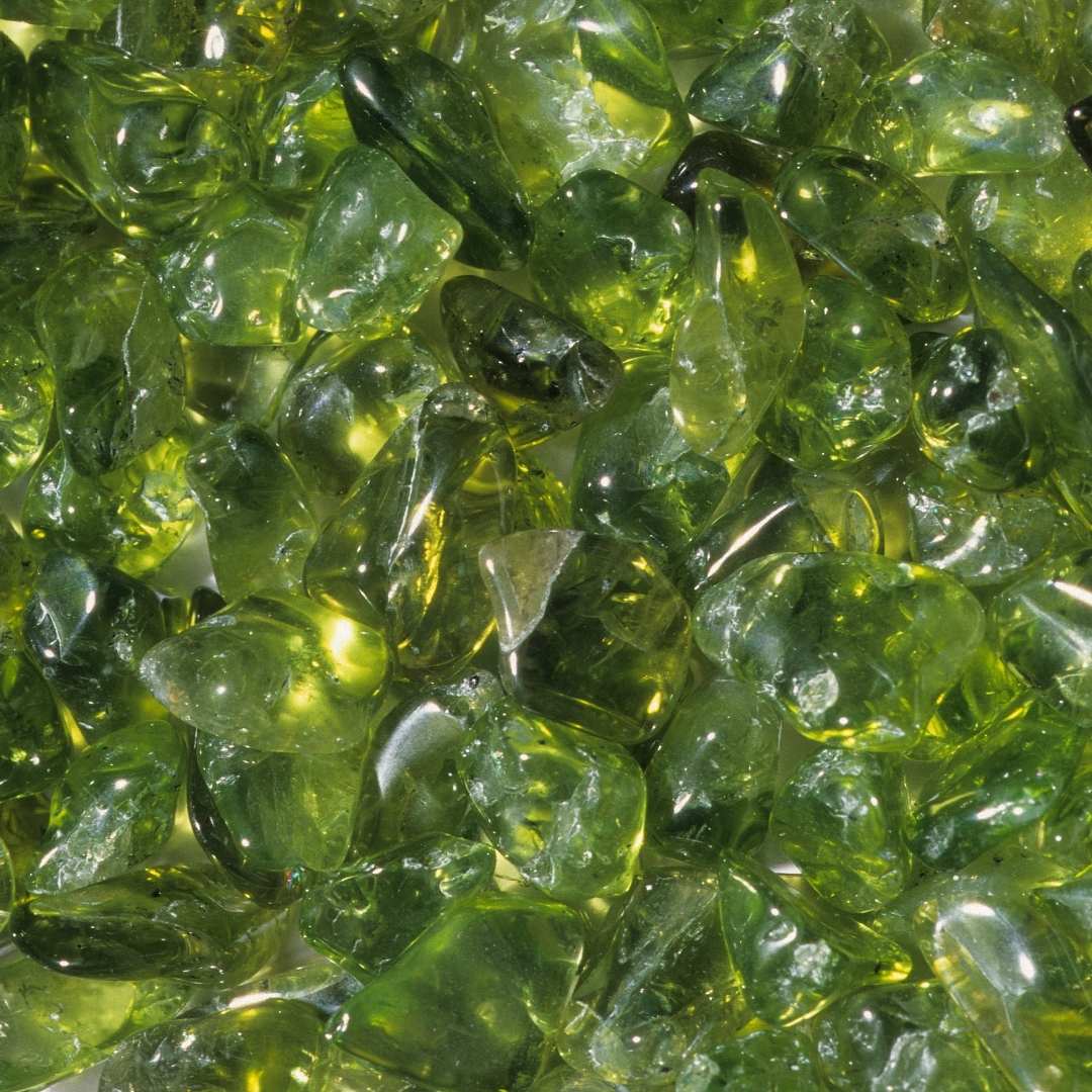 Sable au microscope - Meilleurs Microscopes