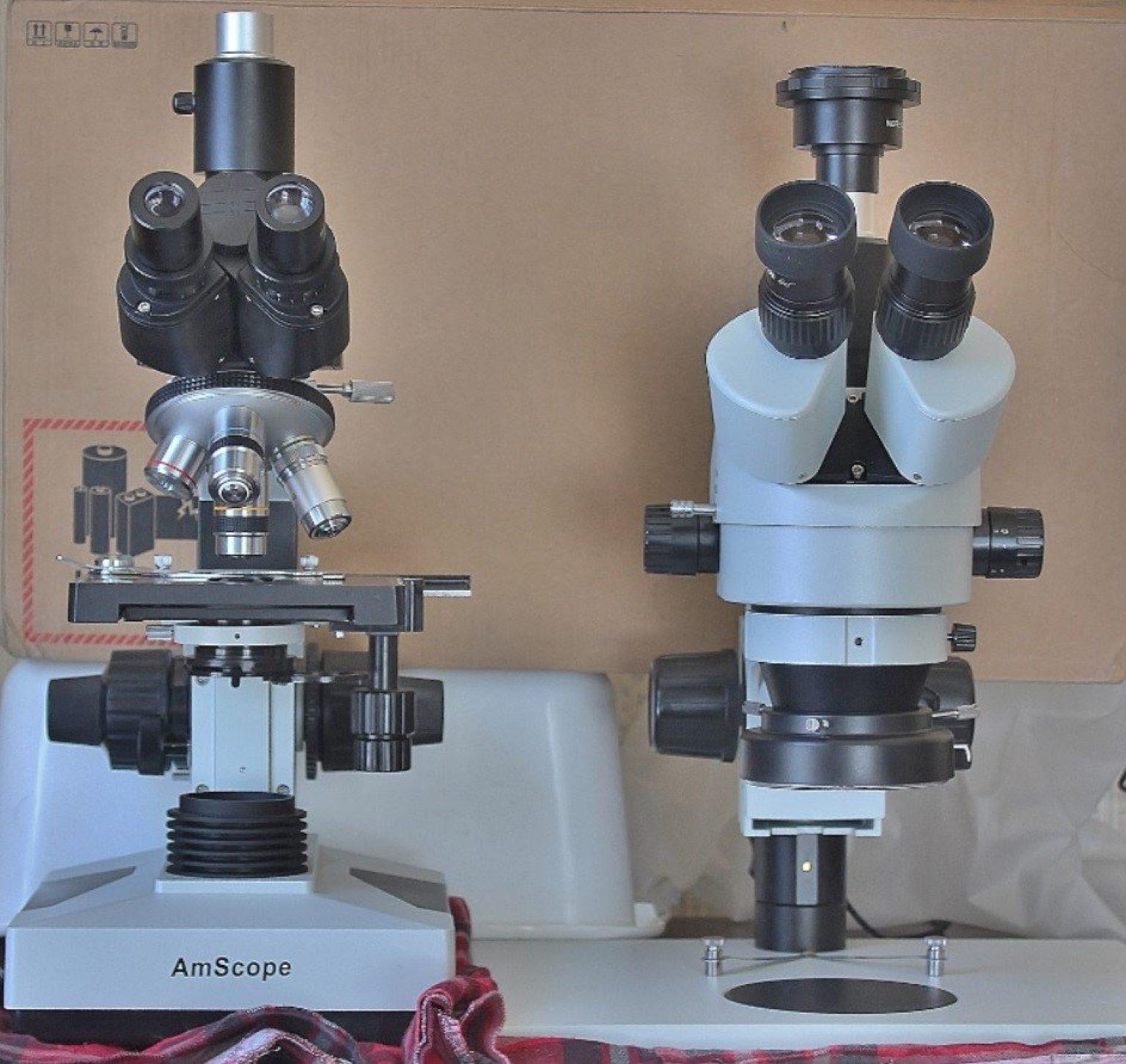 Microscope AmScope : Comparatif 2024