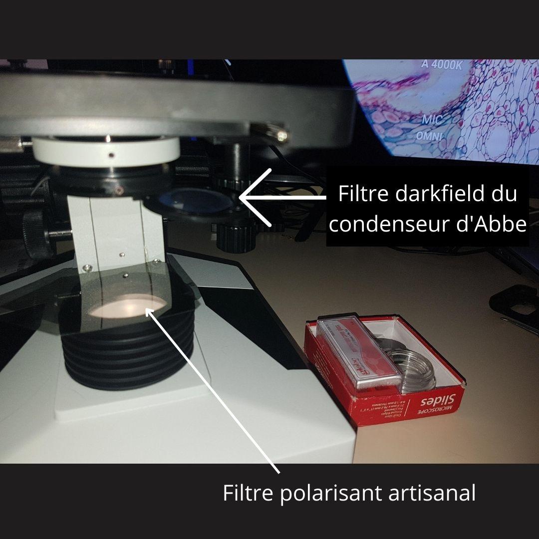 Techniques de microscopie - Meilleurs Microscopes