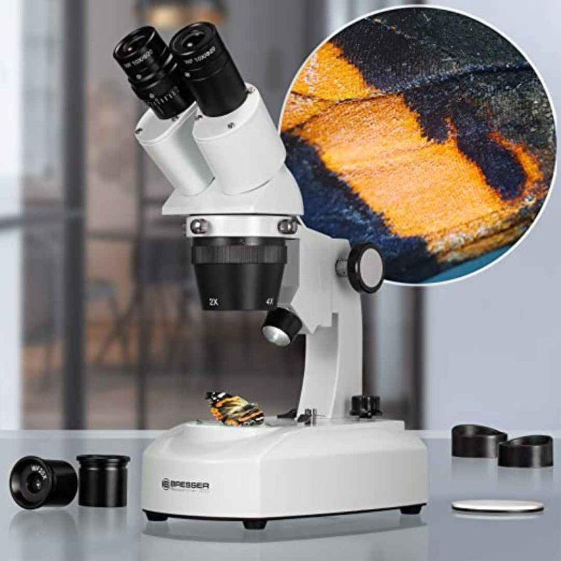 Grossissement au microscope - Meilleurs Microscopes