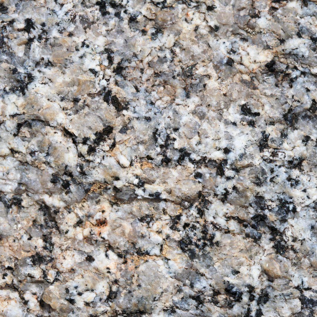 Granite microscope - Meilleurs Microscopes