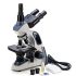 Grossissement au microscope - Meilleurs Microscopes