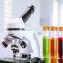 Quel microscope pour observer des bactéries